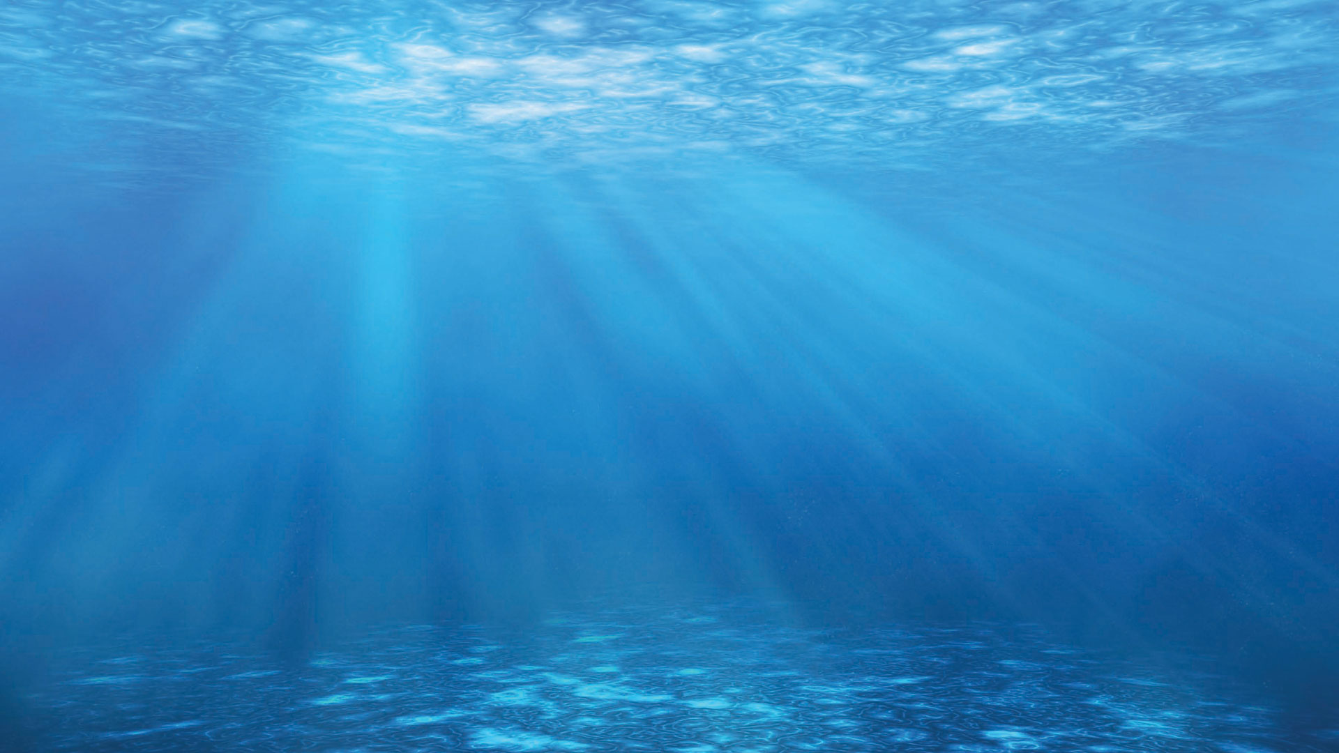 Science And Environment One Fish Two Fish All Fish No Fish Vision